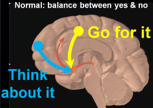 Unwiring & Rewiring Your Brain: Sensitization and Hypofrontality